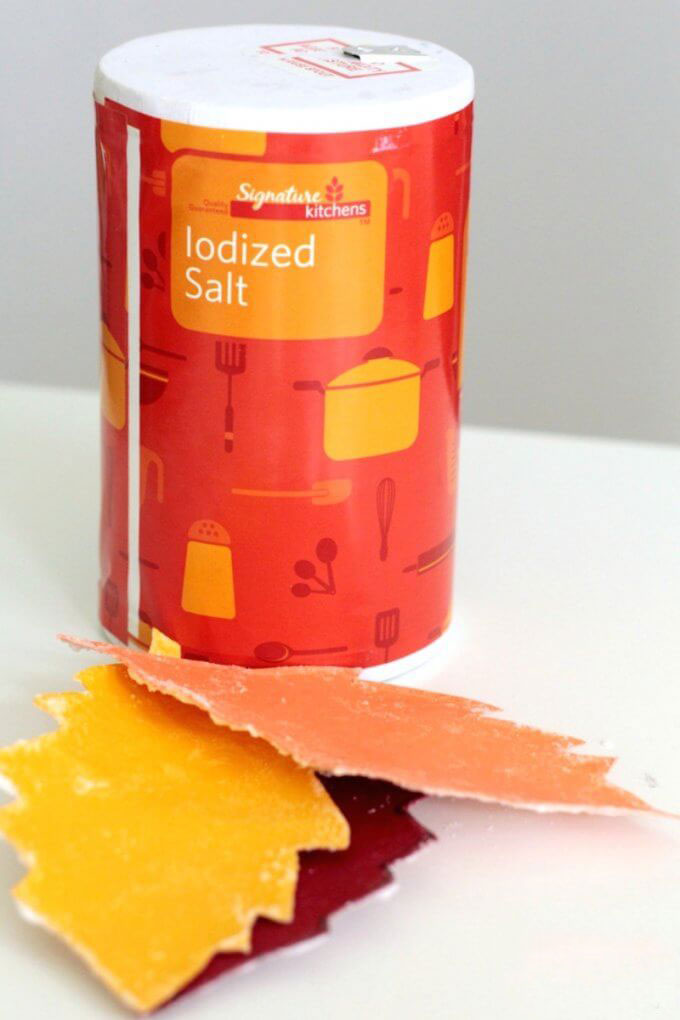 Simple & Fun: Salt Crystal Leaves - Mallard Creek STEM Academy